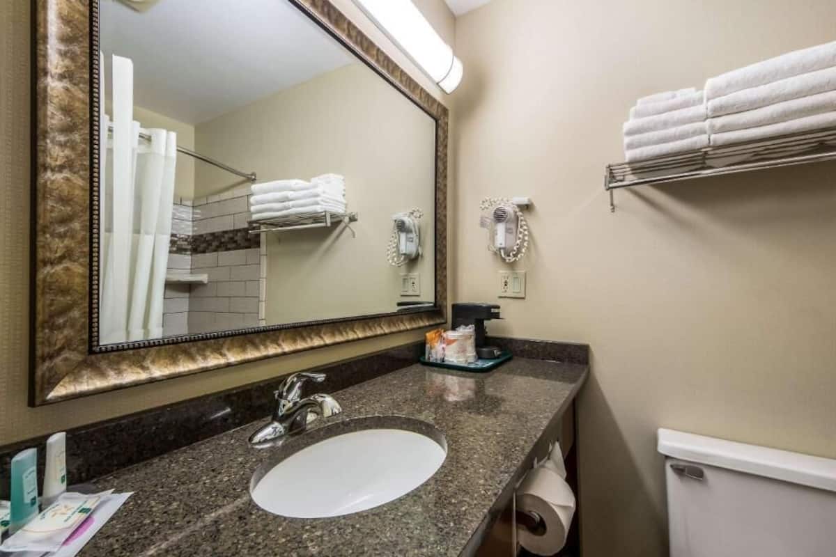 Quarto Standard, 2 camas queen-size, não fumadores | Casa de banho | Artigos de higiene pessoal grátis, um secador de cabelo