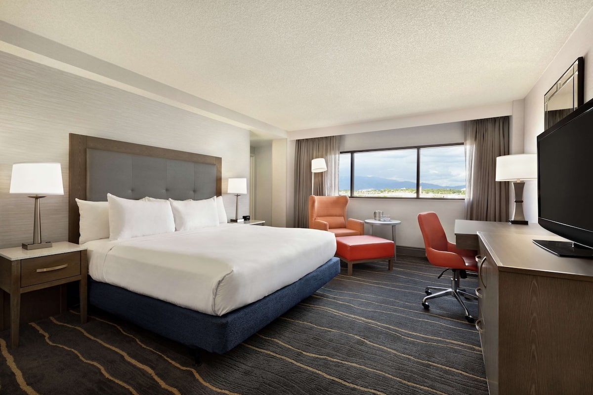 Quarto de hotel com uma cama grande, uma escrivaninha, uma televisão e vista para o exterior.