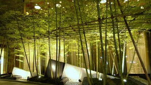 Uma floresta de bambu com estruturas iluminadas.