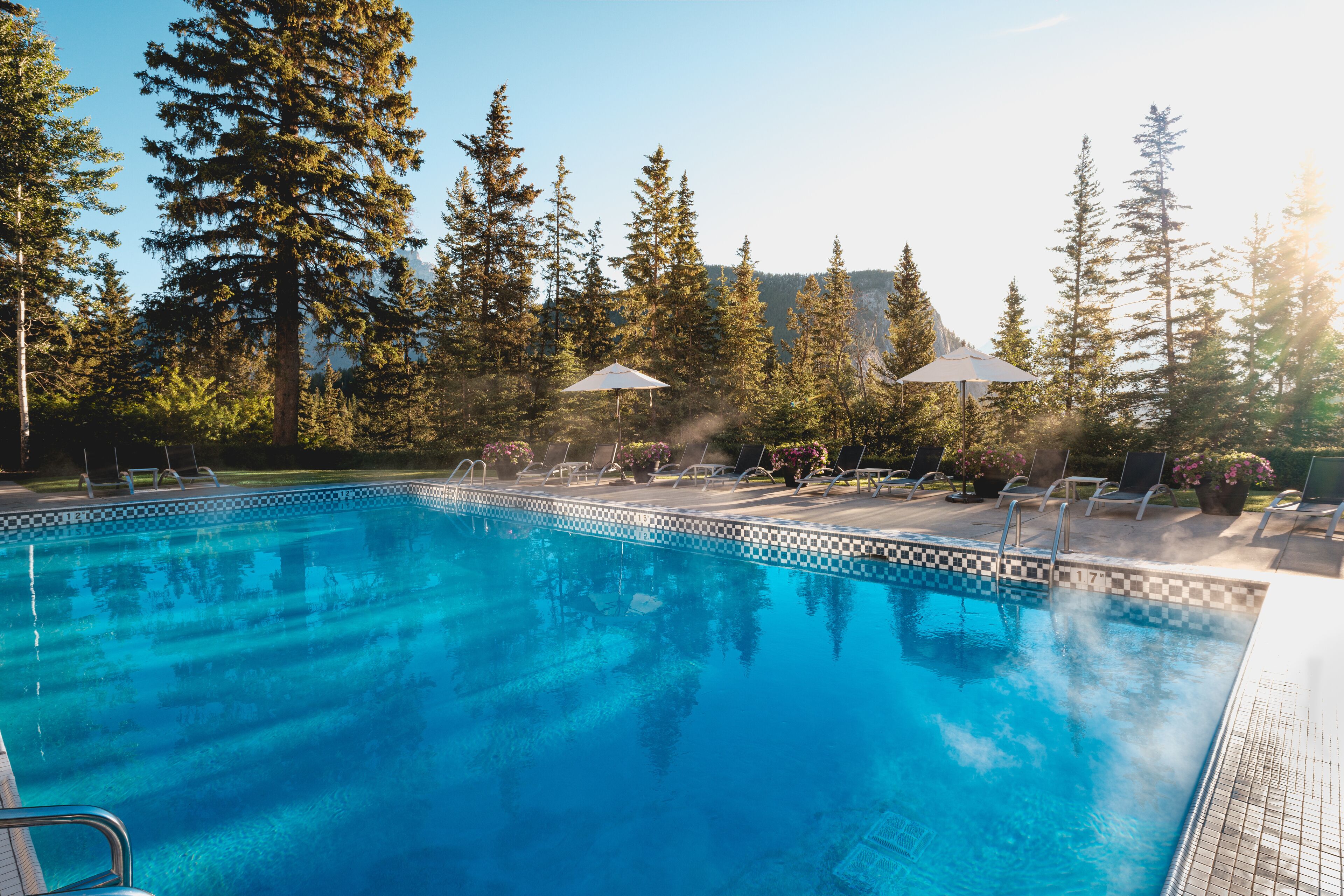 Fairmont Banff Springs in Banff: Find Hotel Reviews, Rooms, and Prices ...
