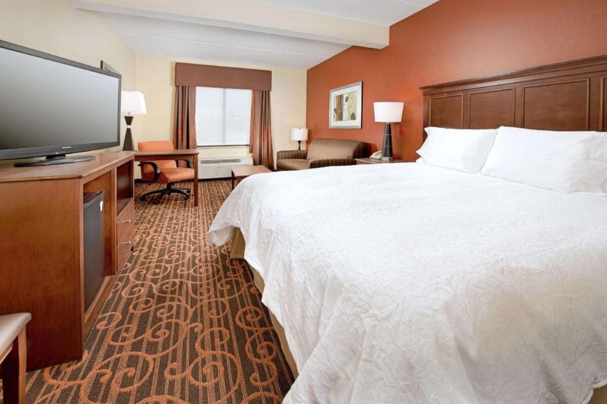 Quarto de hotel com uma cama grande, televisão, escrivaninha com cadeira, janela e piso coberto de carpete.