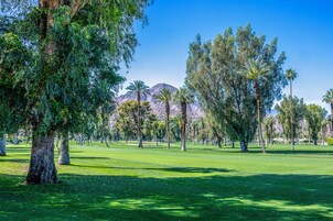Golfe