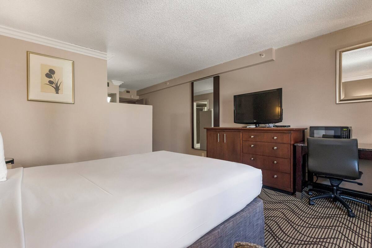 Quarto de hotel com uma cama, uma escrivaninha com cadeira, televisão e micro-ondas.