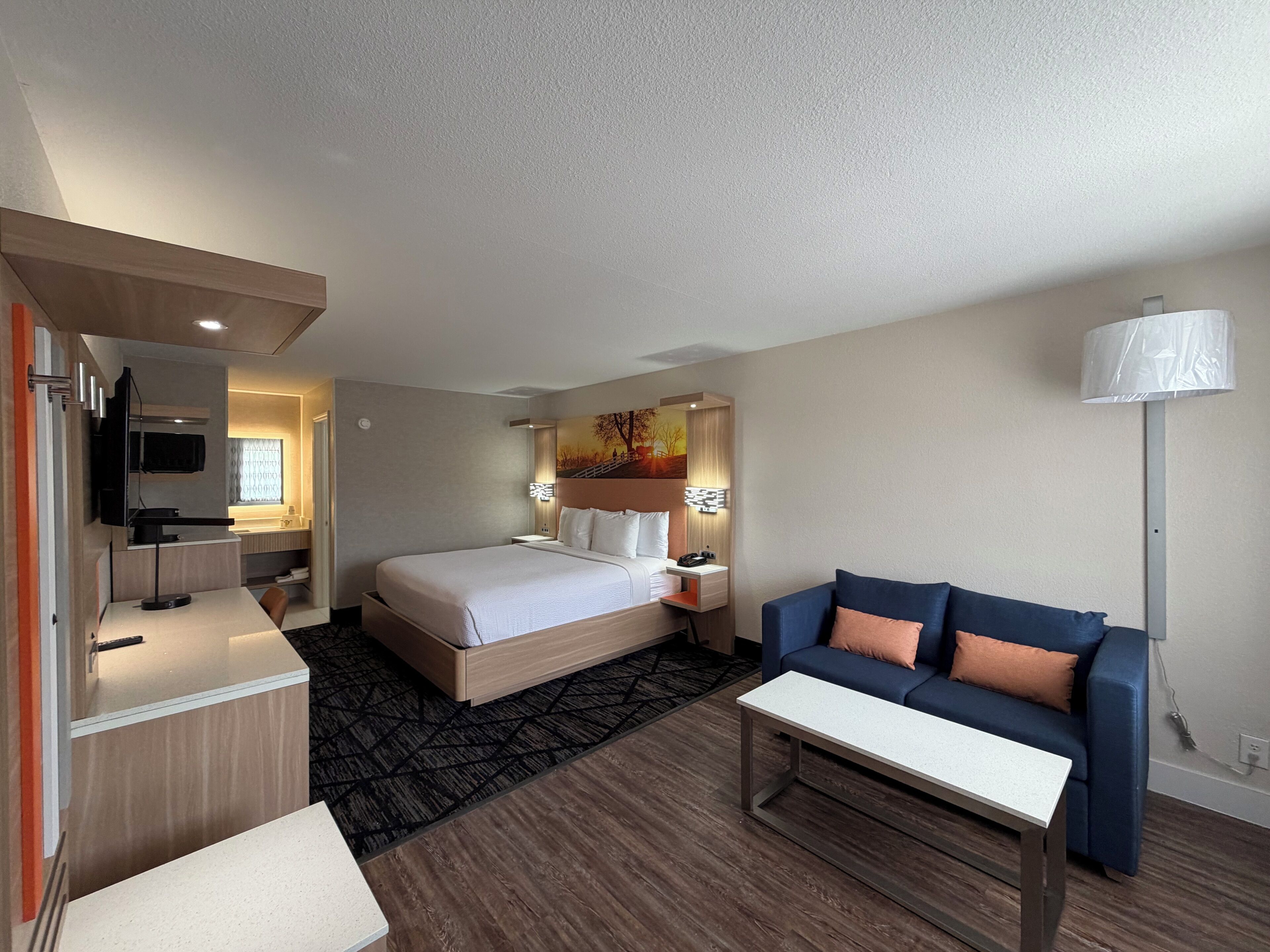 Quarto de hotel com cama, escrivaninha, sofá, televisão e um quadro na parede.