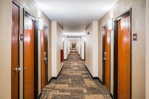 Entrada