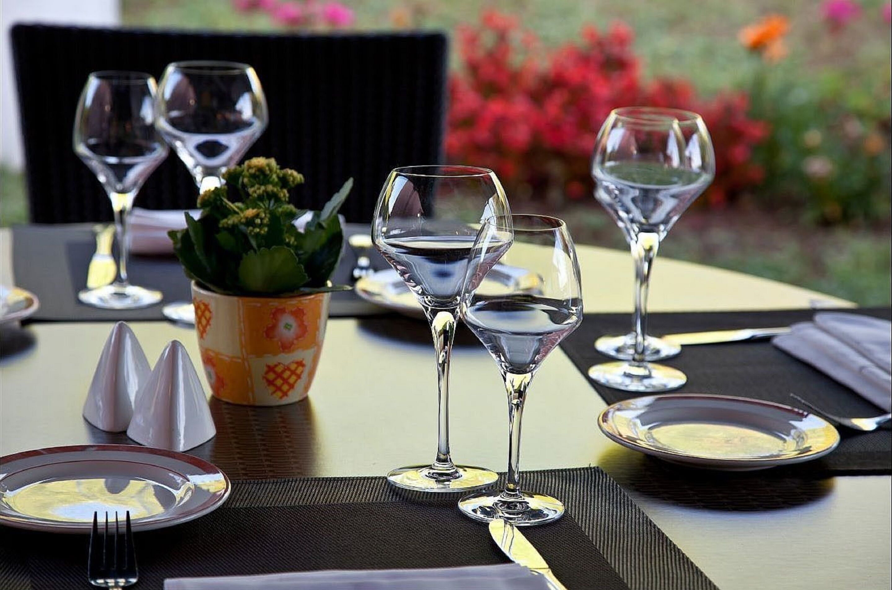Mesa posta para refeição com copos de vinho, pratos e uma pequena planta em vaso.