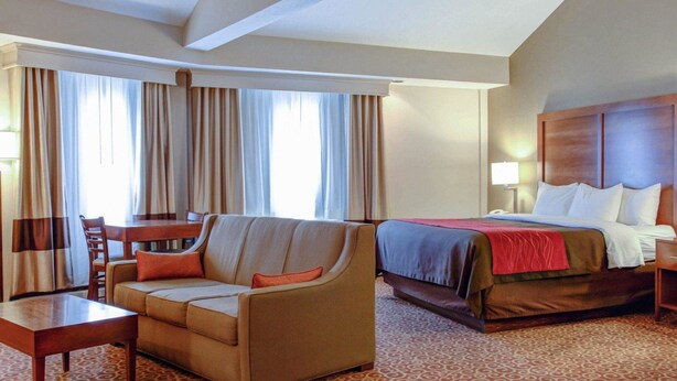 Quarto de hotel com sofá, cama, escrivaninha e carpete estampado.