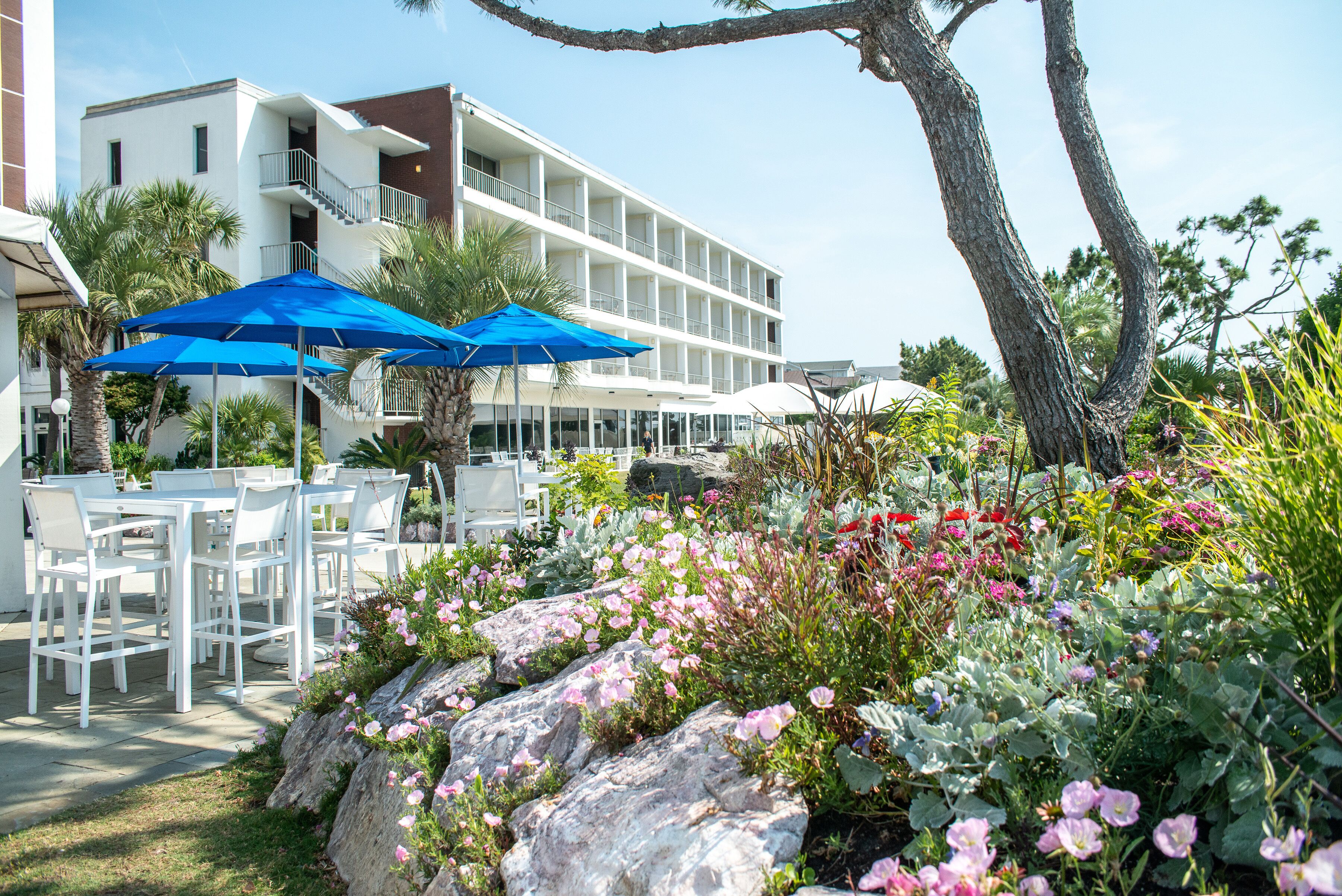 Blockade Runner Beach Resort Reviews, Deals & Photos 2025 - Expedia