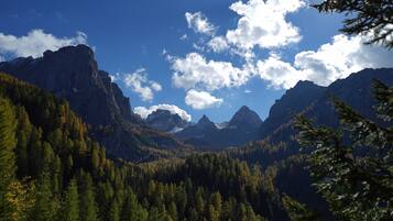 Paisagem montanhosa com florestas densas e picos acidentados sob um céu limpo.