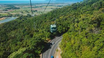 Sistema de teleférico em área arborizada, com uma estrada abaixo.