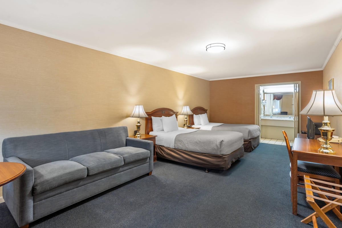Quarto de hotel com sofá cinzento, duas camas de solteiro, uma mesa de madeira com candeeiro e janela com cortinas.