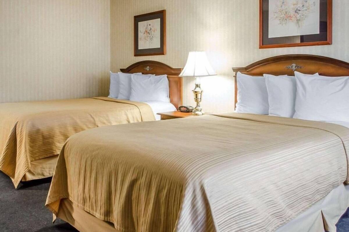 Quarto de hotel com duas camas, uma mesa de cabeceira, um abajur e duas fotos emolduradas na parede.