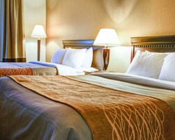 Quarto Standard, 2 camas queen-size, não fumadores | Secretária, cortinas/cortinados opacos, ferro/tábua de engomar 