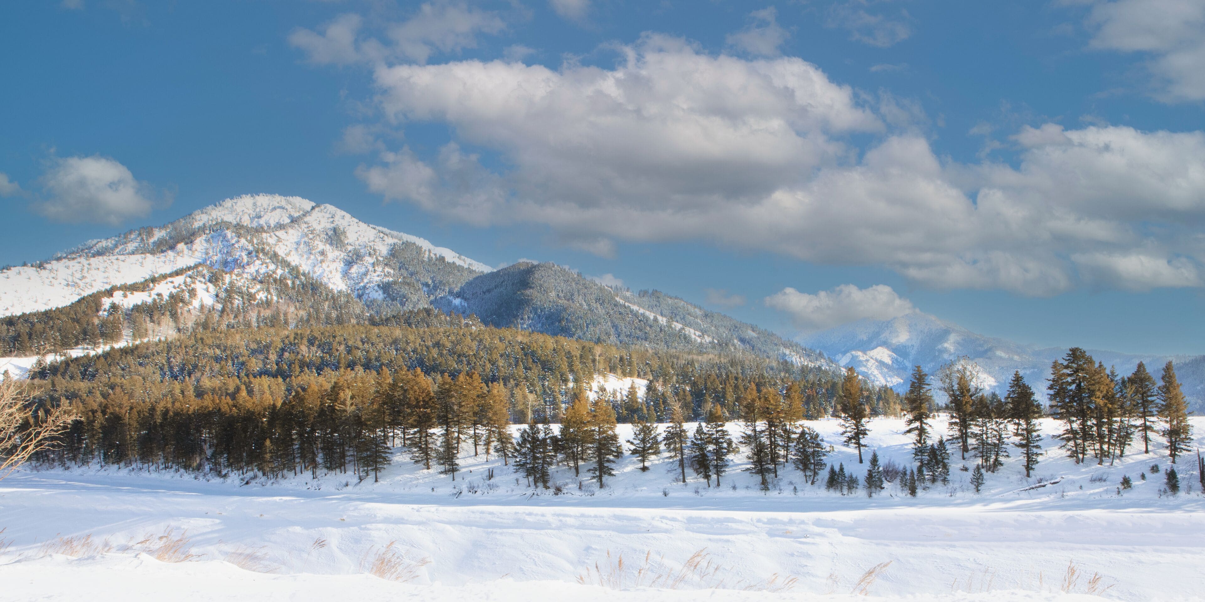 Paisagem de montanha nevada com área arborizada e céu limpo.