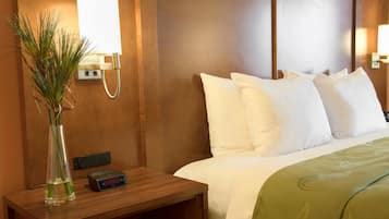Suíte, 1 cama King, acessível, para não fumantes (Efficiency) | Escrivaninha, ferros/tábuas de passar roupa, Wi-Fi de cortesia