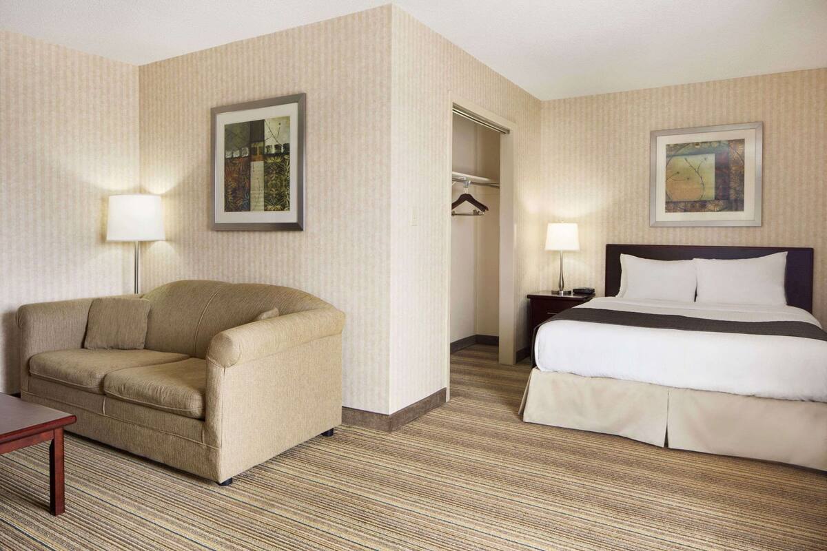 Quarto de hotel com sofá, cama, mesa de cabeceira, abajur, quadro na parede e um cabideiro.