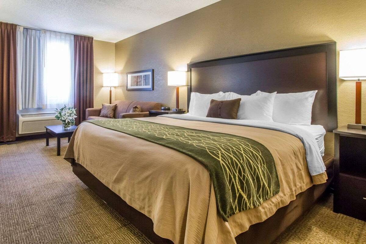 Quarto de hotel com uma cama grande, duas mesas de cabeceira, um criado-mudo, um sofá, uma janela com cortinas e um quadro pendurado na parede.