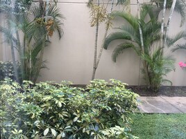 Vista para o pátio