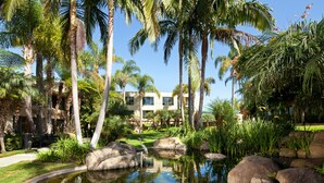 Um jardim tranquilo com lago, palmeiras e um edifício ao fundo.