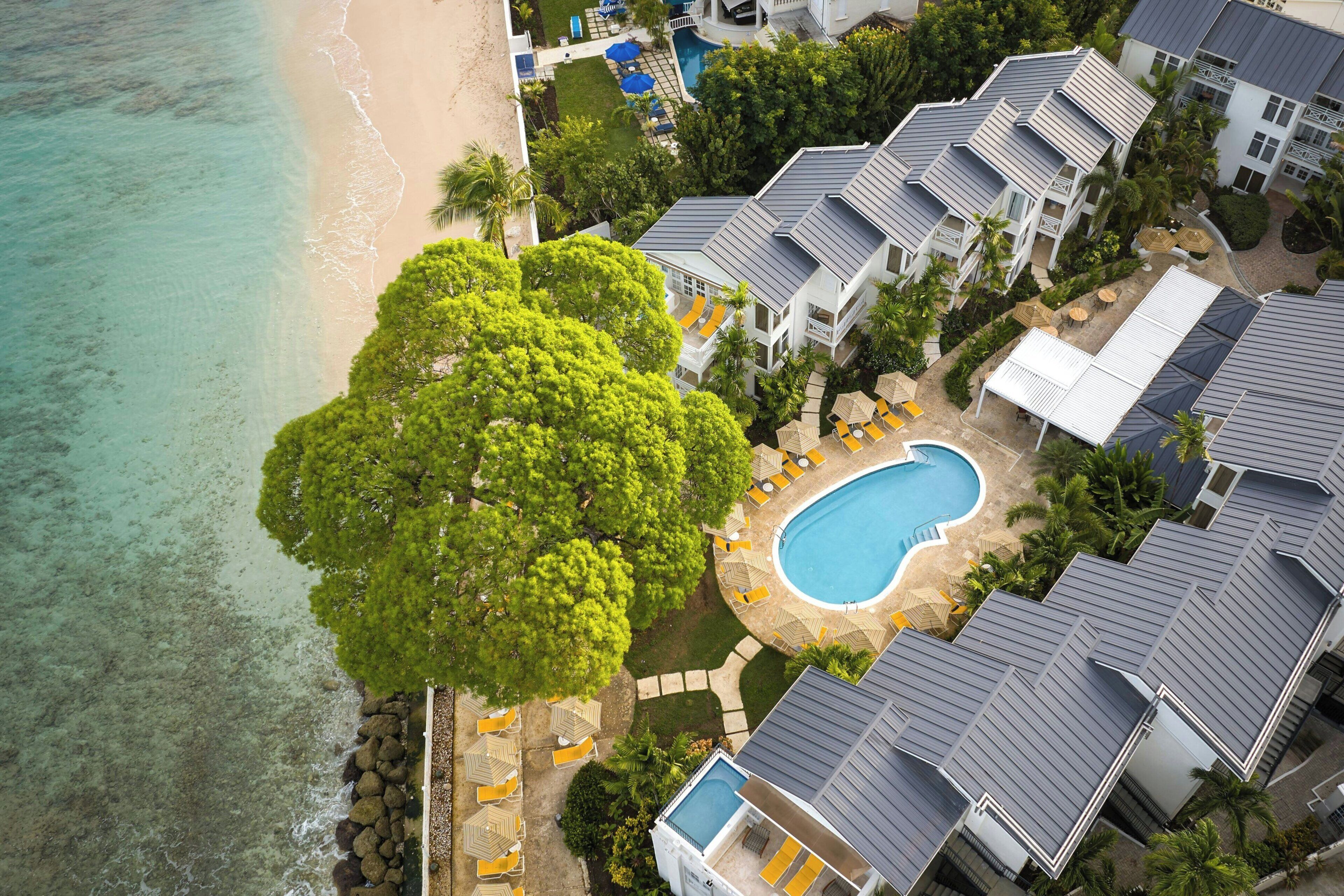 Vista aérea de um resort com piscina, vários edifícios e uma grande árvore.