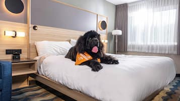 Quarto de hotel com cama, mesa de cabeceira, luminária e uma janela grande com cortinas.