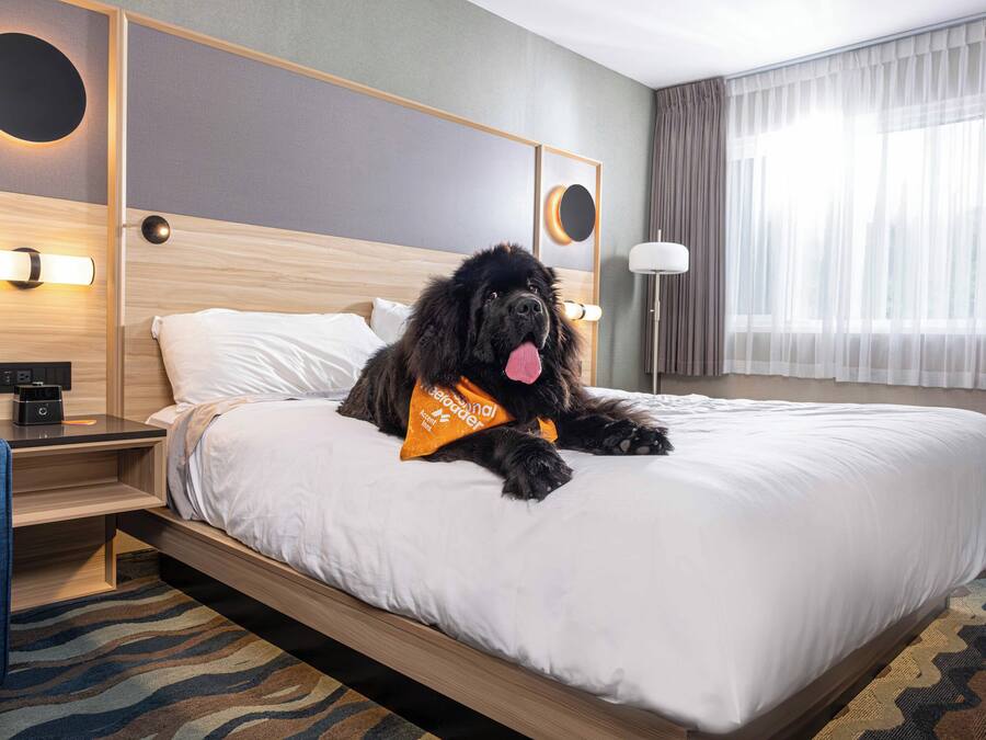 Quarto de hotel com cama, mesa de cabeceira, luminária e uma janela grande com cortinas.