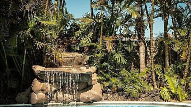 Piscina com cachoeira, rodeada por vegetação tropical.