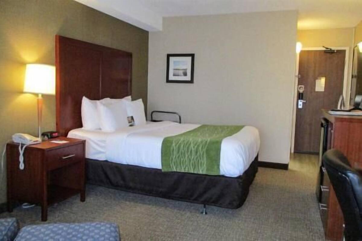 Quarto de hotel com cama, mesa de cabeceira, luminária e escrivaninha com cadeira.