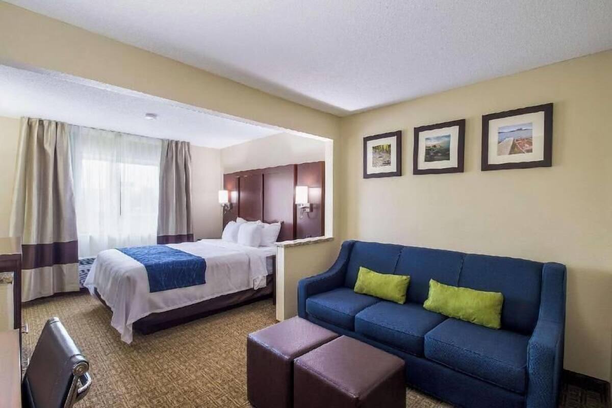 Quarto de hotel com uma cama, um sofá azul, uma mesinha e um espelho.