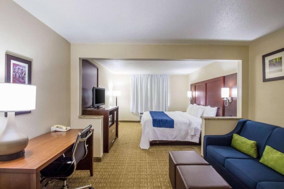 Quarto de hotel com uma cama, uma escrivaninha com cadeira, televisão, sofá e uma pequena mesa.