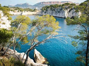 Paisagem costeira com falésias, águas azul-claras e vegetação rasteira.