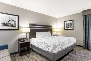 Quarto Standard, 1 cama king-size, acessível, frigorífico e micro-ondas | Camas de colchão pillowtop, secretária 