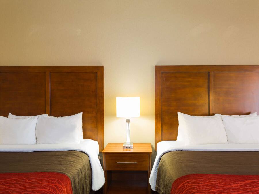 Quarto de hotel com duas camas, uma mesa de cabeceira com abajur e cabeceira de madeira.