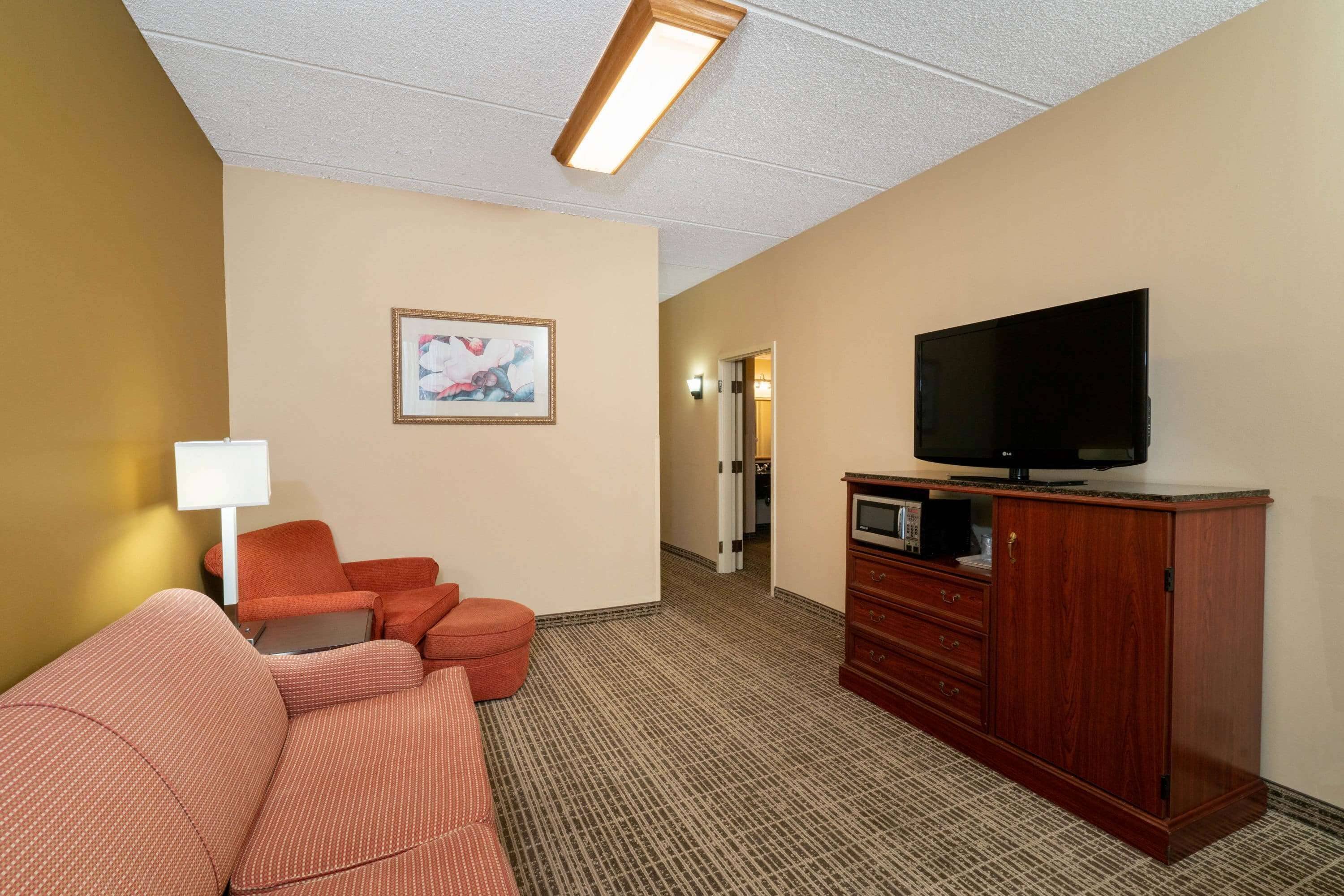 Quarto de hotel com sofá, televisão em aparador de madeira, quadro na parede e luminária.