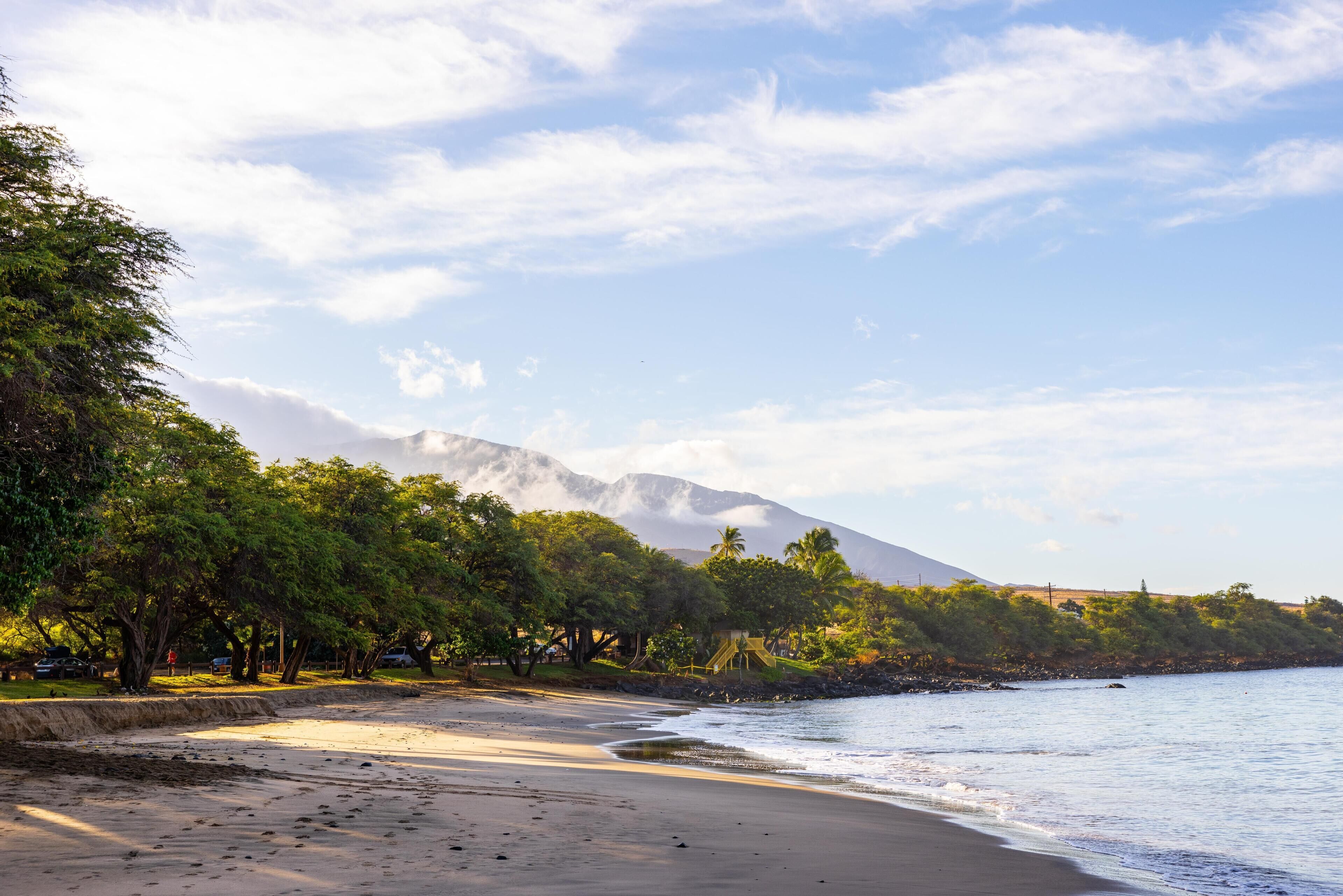 Uma praia com árvores, uma montanha e céu claro.