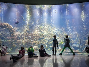 Um aquário com diversos peixes e corais em exposição, uma barreira de vidro e pessoas observando as amostras.