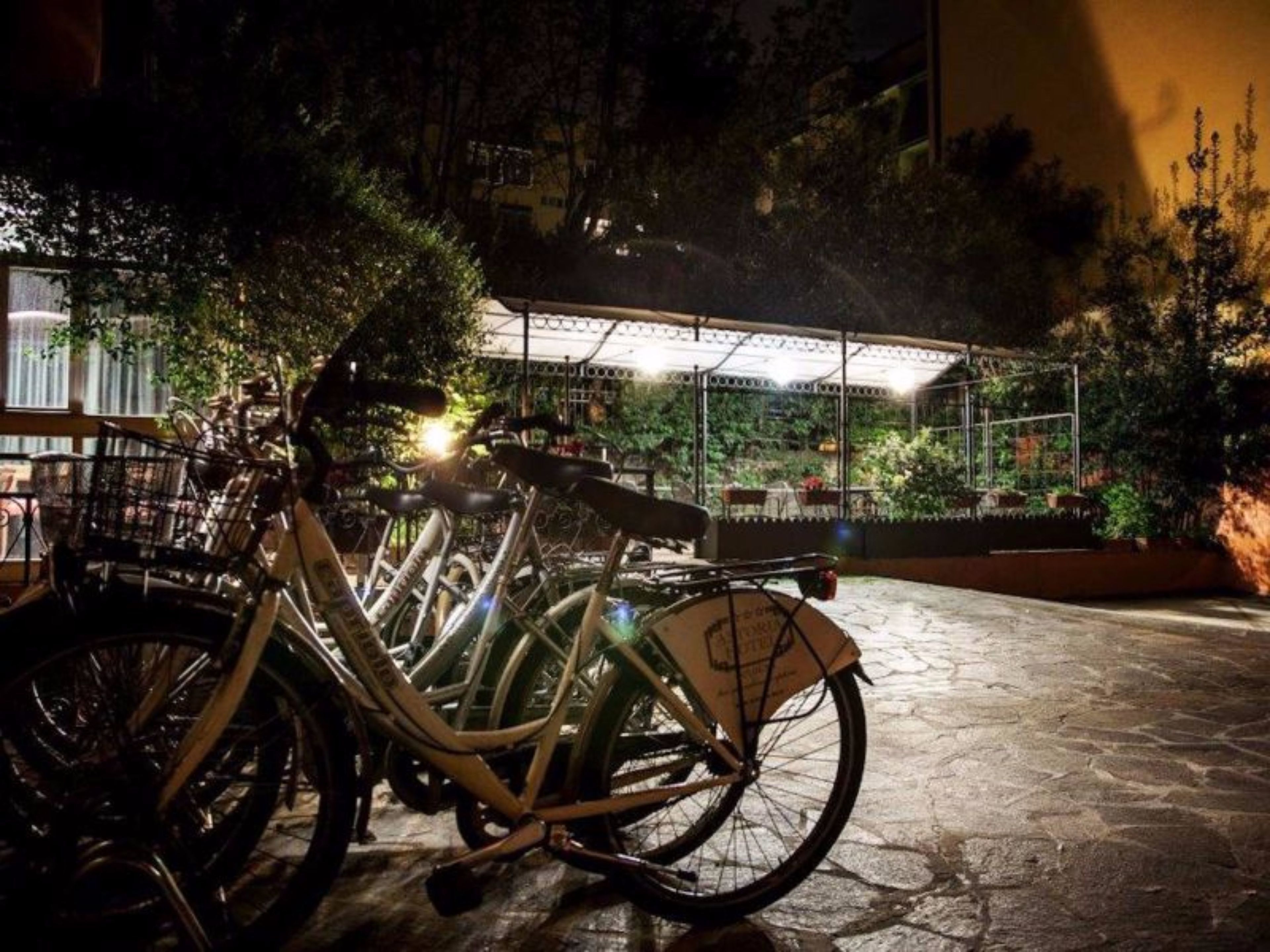 Bicicleta estacionada em área externa com área de estar coberta e plantas ao fundo.