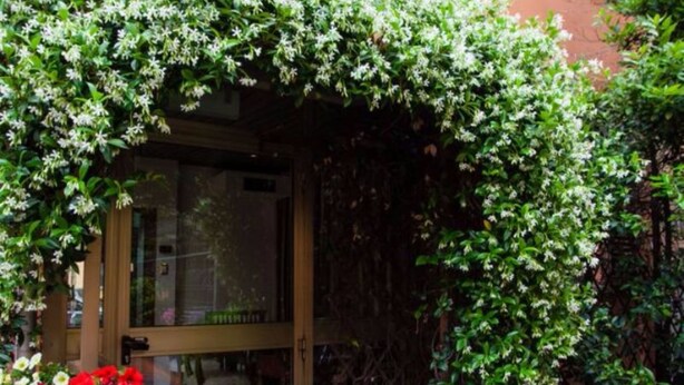 Um jardim com pérgola de madeira coberta por plantas trepadeiras, entrada com porta de vidro e um vaso com flores vermelhas.