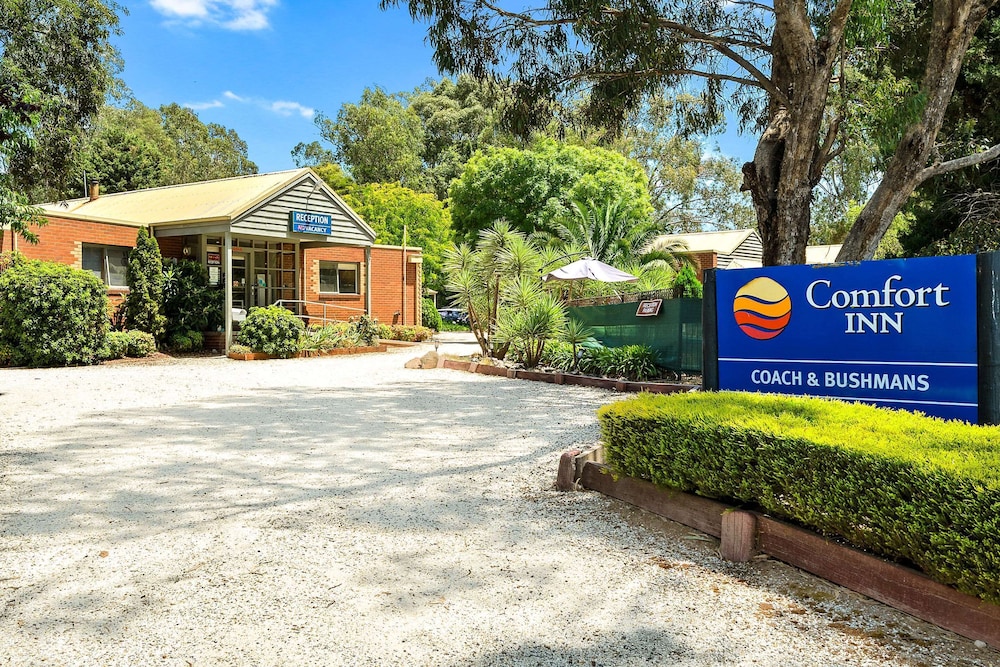 Comfort Inn Coach & Bushmans - Seymour
