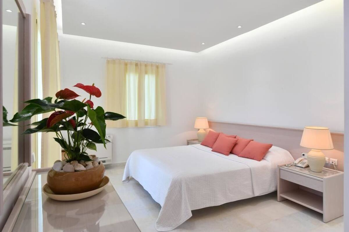 Quarto de hotel moderno com uma cama grande, mesas de cabeceira, uma planta em vaso e uma janela com cortinas.