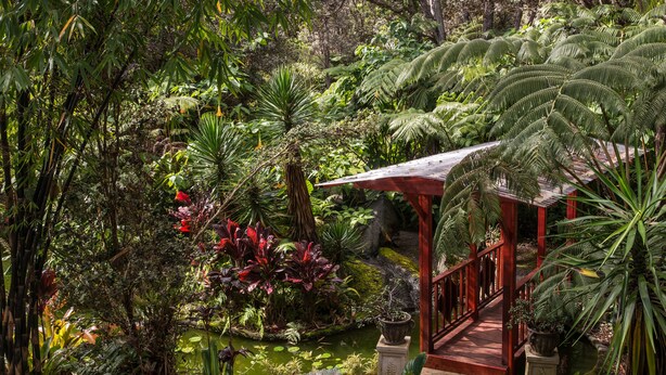 Um jardim exuberante com um gazebo de madeira, um lago e diversas plantas tropicais.