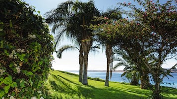 Terrenos do alojamento