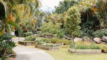 Jardim