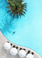 Vista aérea de uma piscina com uma palmeira, cadeiras de descanso e guarda-sóis.