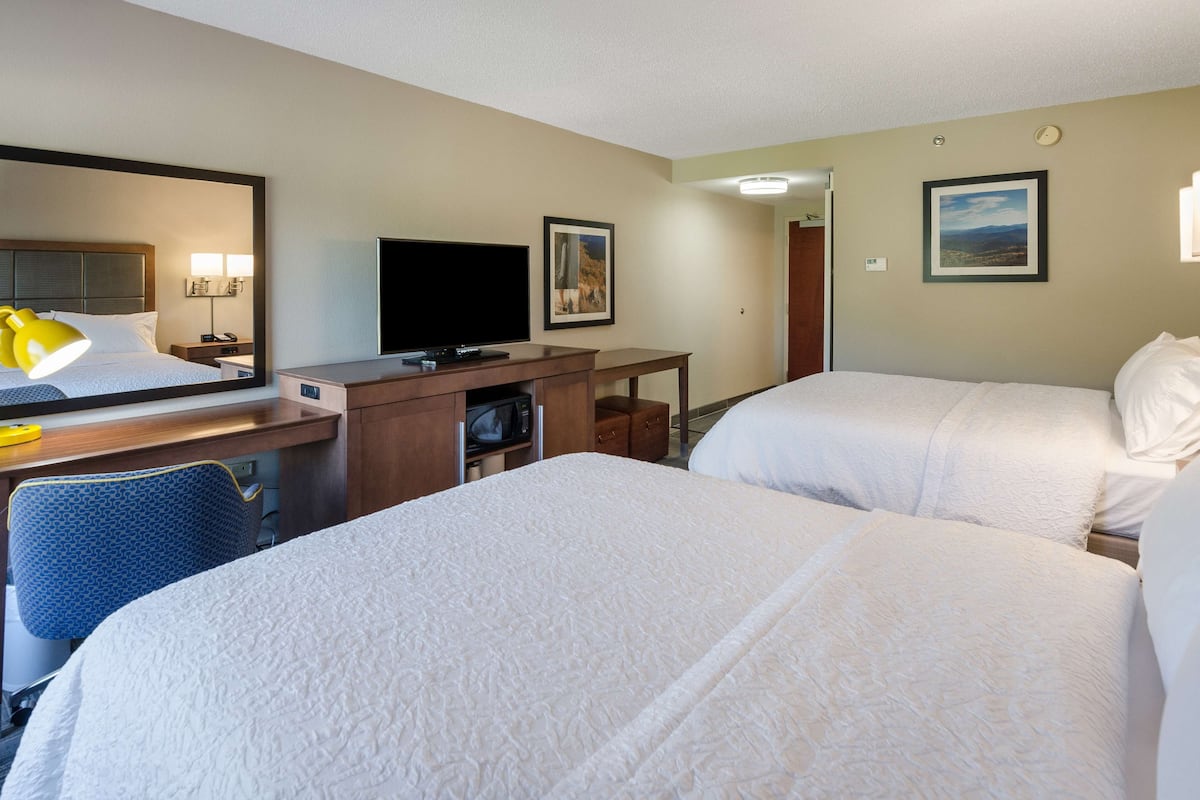 Quarto de hotel com duas camas, uma mesa de trabalho com televisão, um espelho e um quadro na parede.