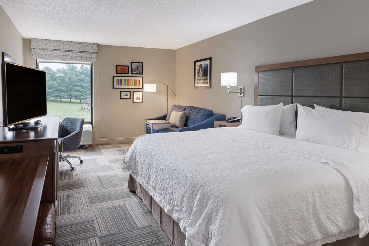 Quarto de hotel com uma cama grande, uma mesa com televisão, uma cadeira e vista para um parque pela janela.