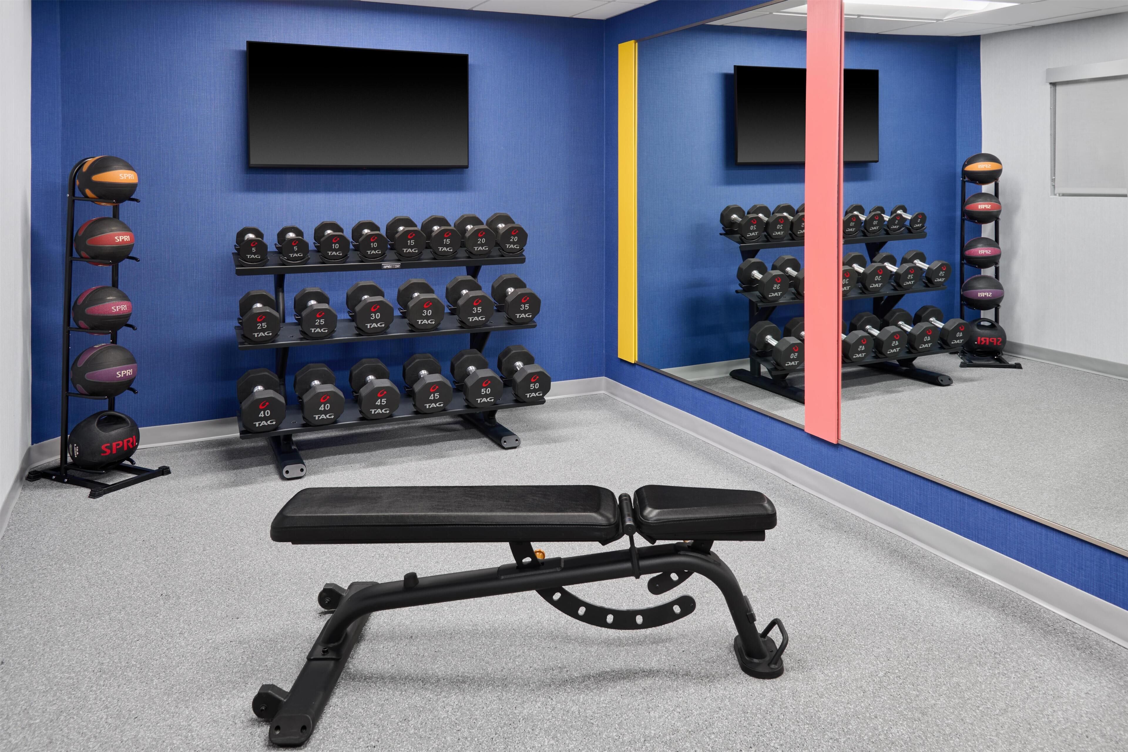 Uma academia com um banco, halteres e bolas de exercício.