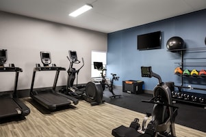 Uma academia com esteiras, elíptico, bicicleta ergométrica e suporte com bolas de exercício.
