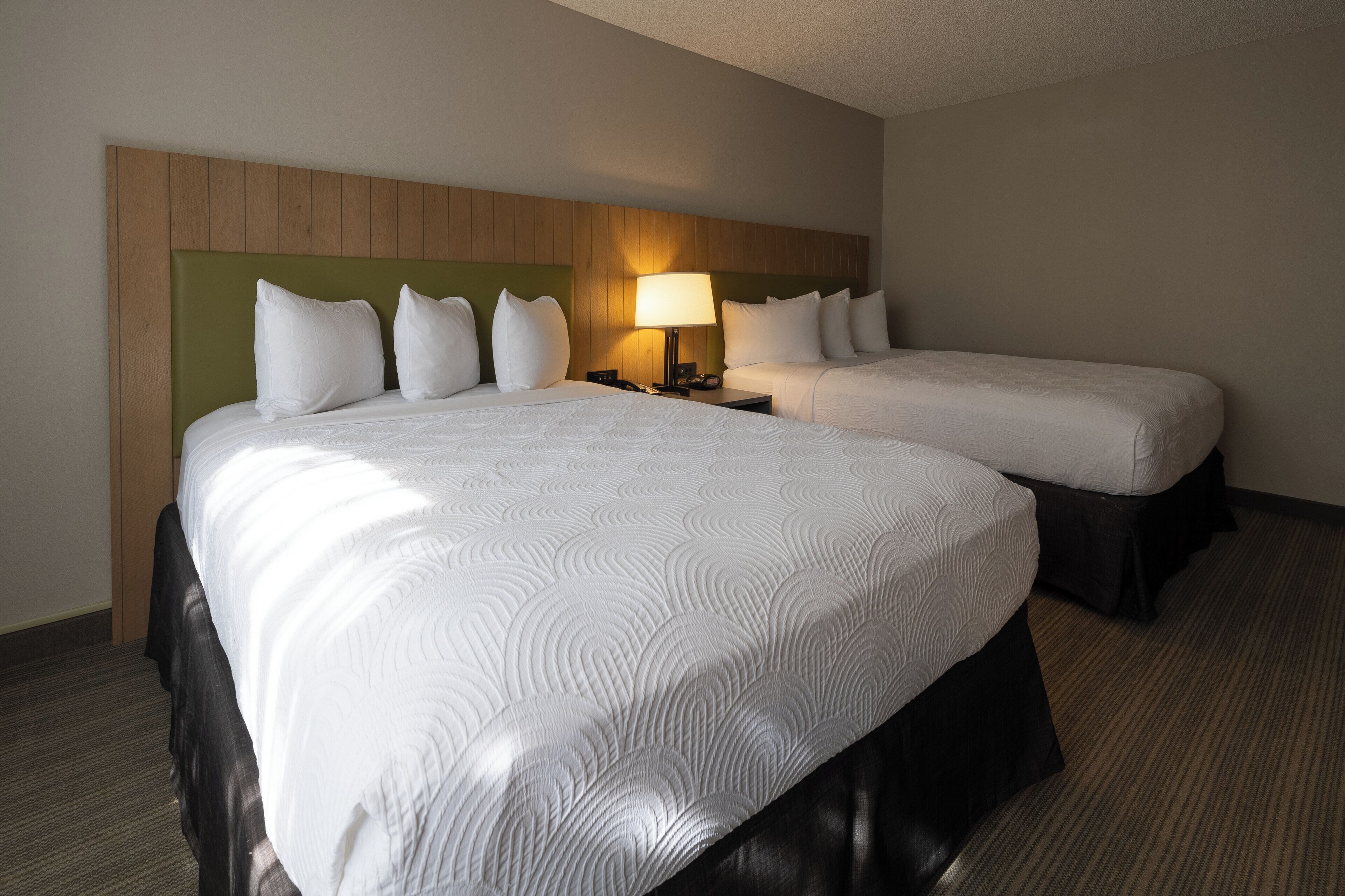 Quarto de hotel com duas camas, cabeceira de madeira, mesa de cabeceira com luminária e piso coberto por carpete.