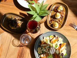 Uma mesa de madeira com vários pratos, um copo de vinho tinto e uma planta em vaso.